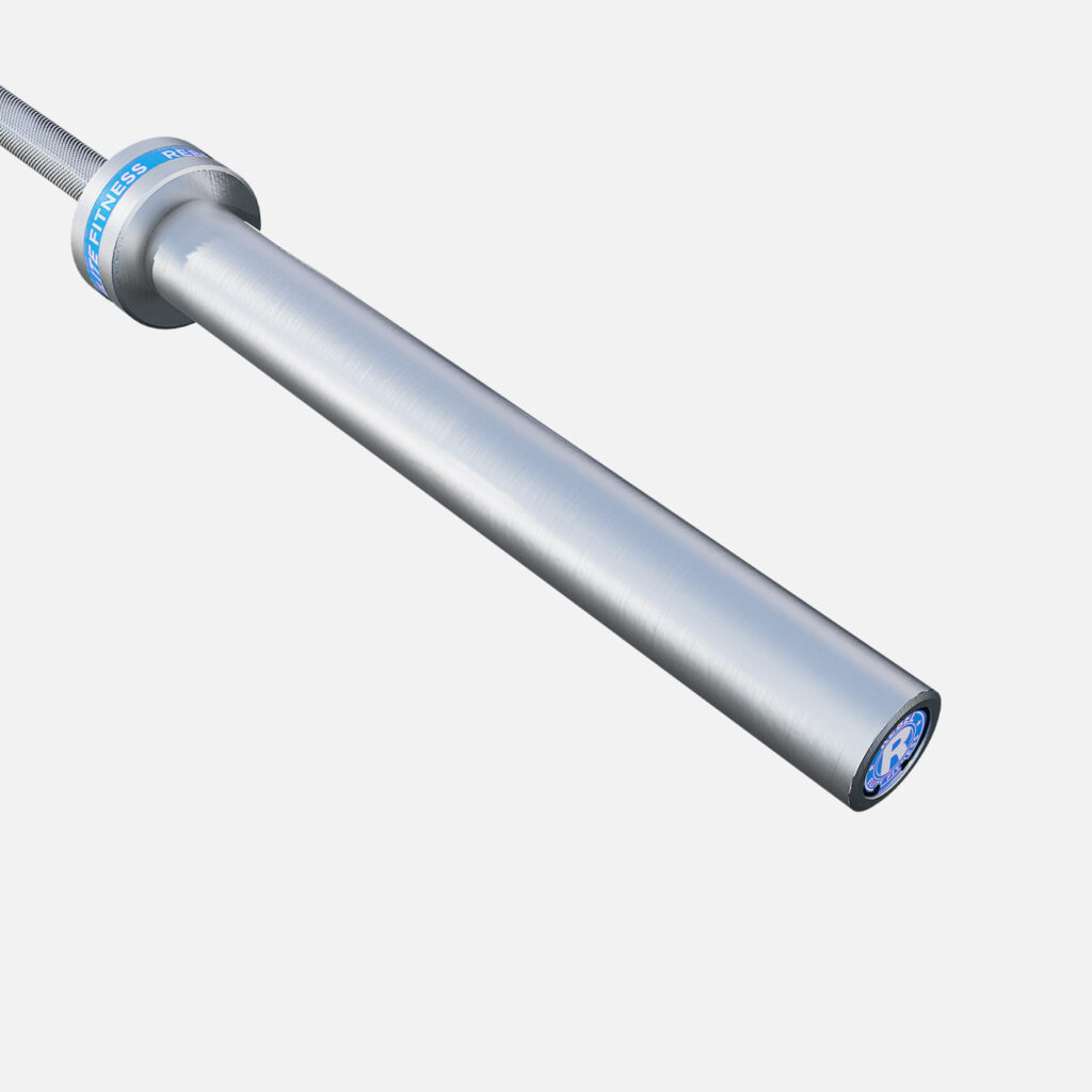 REBEL Fractional Micro Weight Plates - REBEL Store